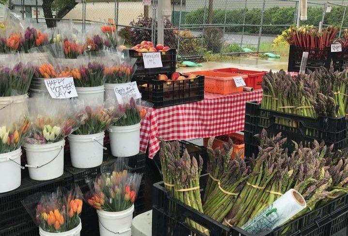 Canby Farmers' Market | Canby OR